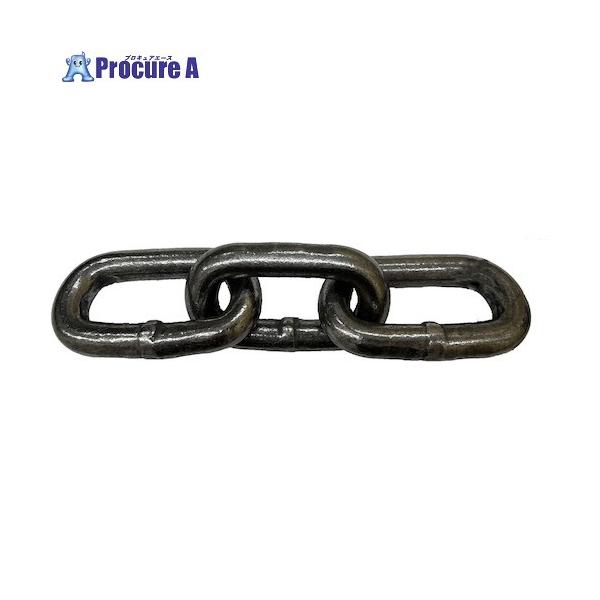 【送料都度見積】●全長(m)：15●線径d(mm)：6●使用荷重(kN)：2.6●B(mm)：21●L(mm)：36