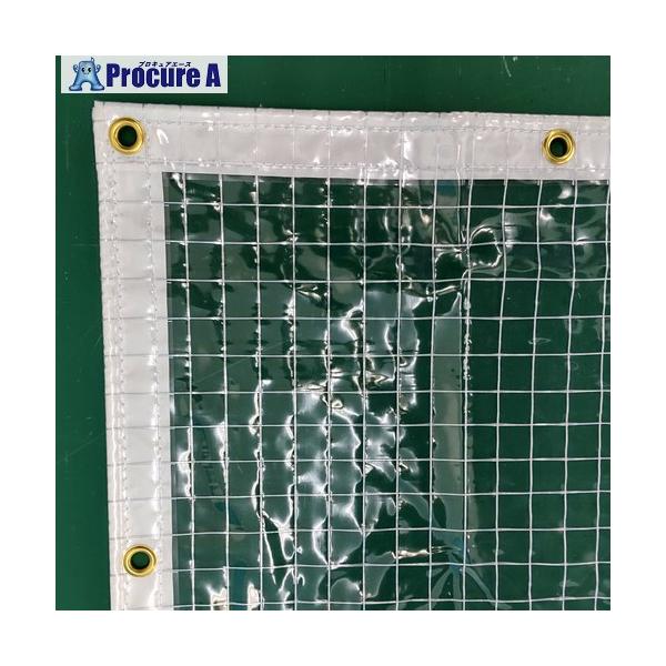 ※個人宅様送り不可 ●色：透明●幅(m)：3.6●長さ(m)：3●厚さ(mm)：0.35●ハトメピッチ(cm)：25●引張強度：196N/3cm×196N/3cm●引裂強度：186N×186N●防炎性能試験番号：A-1150045●抗張力(...