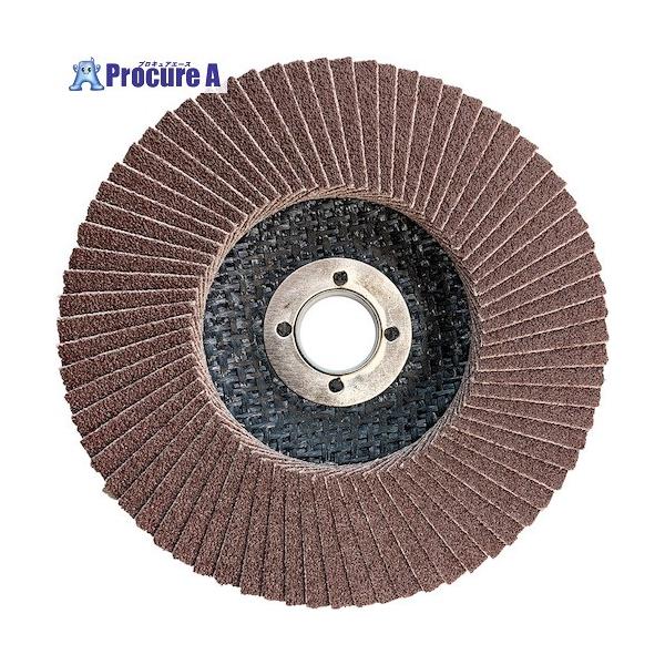 ●粒度(#)：60●外径(mm)：100●羽根長さ(mm)：15●穴径(mm)：15●砥材：アルミナ砥材●最高使用回転数(rpm)：13600●羽根枚数(枚)：72●最高使用周速度(m/s)：72