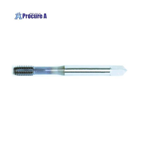 ●精度：1●呼び寸法：M10●ピッチ(mm)：1.25●ねじ長さ(mm)：24●全長(mm)：75●シャンク径(mm)：7●シャンク四角部(mm)：5.5●食い付山数：4●表面処理：HOMO処理●先端形状：凹