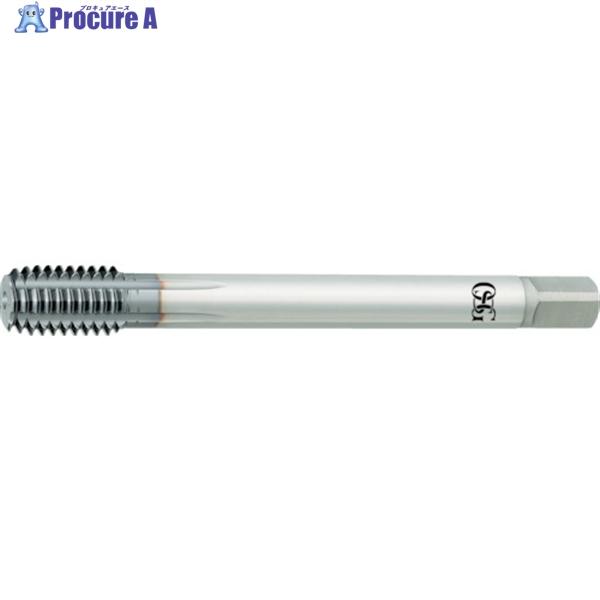 ●精度：RH13●精度表記：STD●呼び寸法：M27●ピッチ(mm)：3●ねじ長さ(mm)：18●全長(mm)：160●シャンク径(mm)：20●シャンク四角部(mm)：15●食い付山数：4山●加工ねじ：メートルねじ