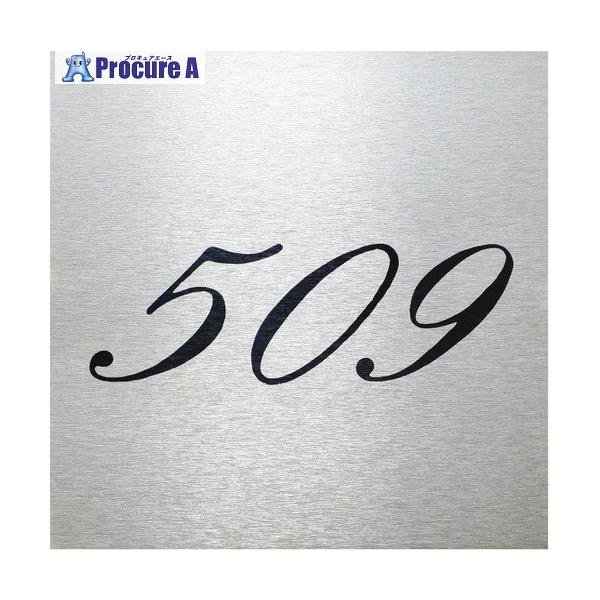 【送料都度見積】 ※個人宅様送り不可 ●表示内容：509●取付仕様：粘着テープ●縦(mm)：49●横(mm)：49●厚さ(mm)：0.2