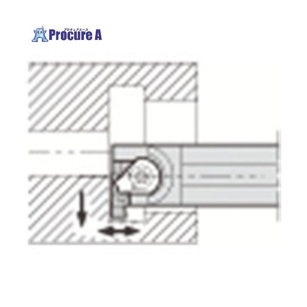 【代引決済不可】  ●適合チップ：GV-C