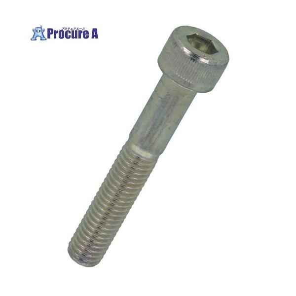 【送料都度見積】●寸法(mm)d：M16●寸法(mm)L：110●ねじピッチ(mm)：2●六角穴対辺寸法(mm)：14●タイプ(全ねじ/半ねじ)：メートルねじ●頭部径(mm)：24●頭部厚さ(mm)：16●強度区分：10.9●表面処理：三価...