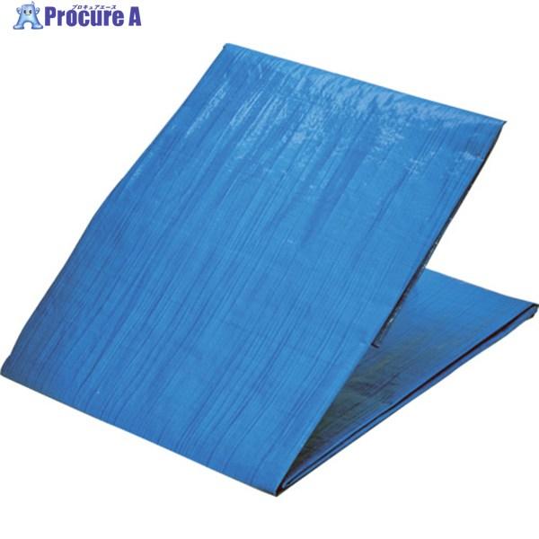 ●幅(m)：1.7●長さ(m)：2.6●厚さ(mm)：0.15●番手(#)：2000●ハトメ数(個)：10●ハトメピッチ(cm)：90●耐久期間：約3ヵ月●引張強度：縦:555N/5cm 横:340N/5cm●引裂強度：縦:167N 横:1...