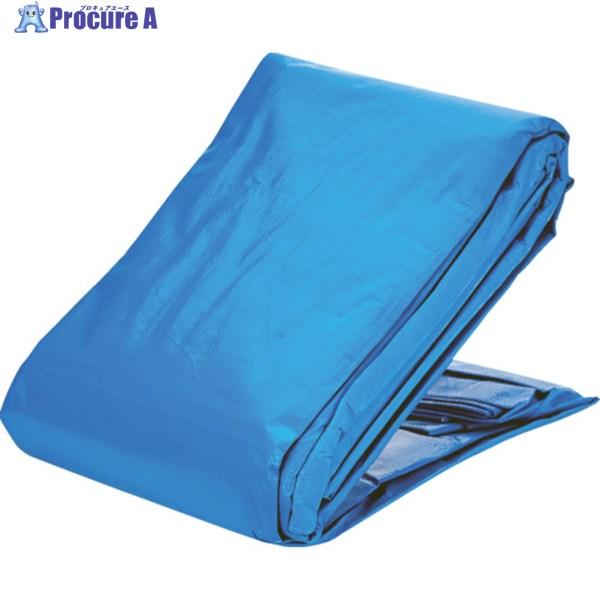 ●幅(m)：2.7●長さ(m)：5.4●厚さ(mm)：0.25●番手(#)：3000●ハトメ数(個)：18●ハトメピッチ(cm)：約90●耐久期間：約３ケ月●引張強度：縦８１５Ｎ／５ｃｍ、横８０８Ｎ／５ｃｍ