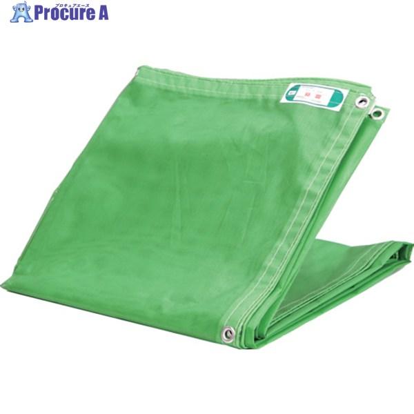 ●色：グリーン●幅(m)：1.8●長さ(m)：3.6●厚さ(mm)：0.22●ハトメ数(個)：24●ハトメピッチ(cm)：45●引張強度：縦490N/3cm以上、横490N/3cm以上●引裂強度：縦24.5N以上、横24.5N以上●ハトメ内...