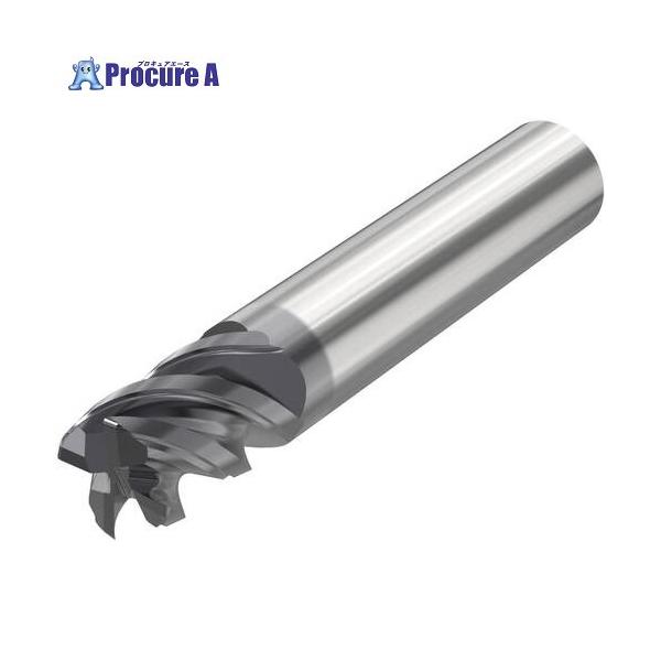 【送料都度見積】