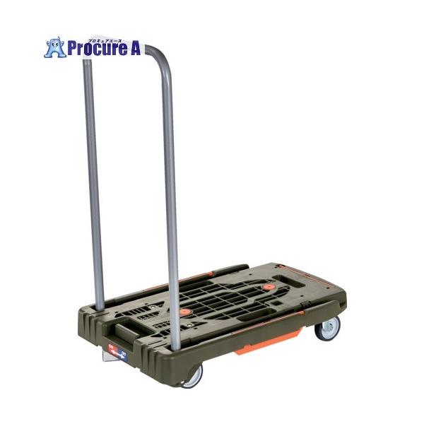 ●均等荷重(kg)：100●色：オリーブドラブ●長さ(mm)：600●幅(mm)：390●高さ(mm)：125●ハンドル高さ(mm)：790●キャスター径(mm)：75●取替キャスター(自在)：TYEF-75ELB●取替キャスター(固定)：...