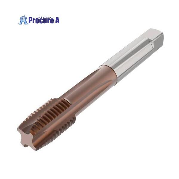 【送料都度見積】●接続サイズCZC：14.00X11.00●機械側接続径DCONMS：14.0●フルートねじれ角FHA：0●勝手HAND：R●機能長さLF：114.2●使用可能長さLU：81●フルート数NOF：4●全長OAL：125.0●ね...