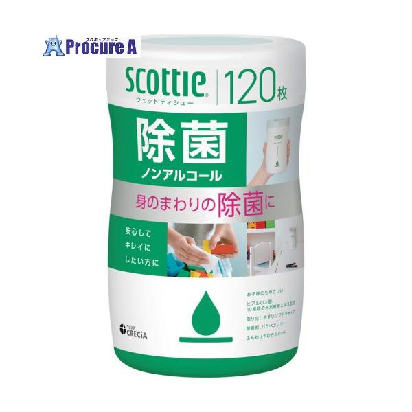 ●シートサイズ(mm)：130×170●入数(枚)：１２０●タイプ：除菌ノンアルコール●色：ホワイト
