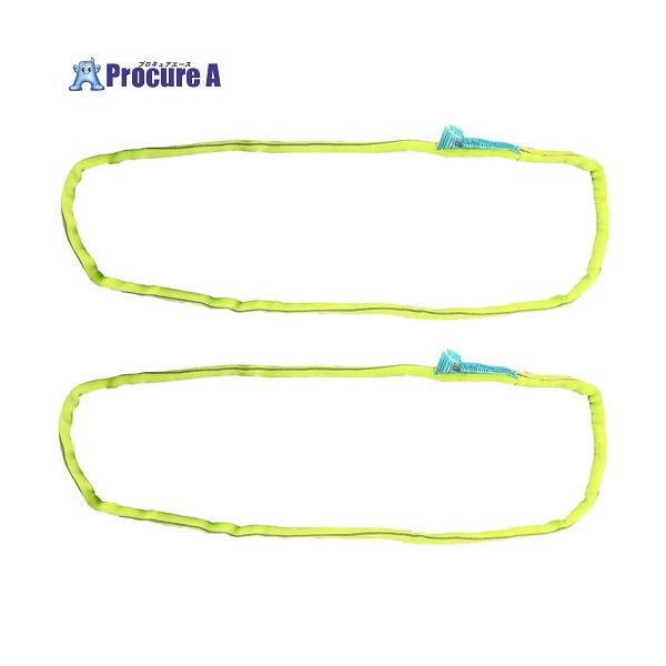 【送料都度見積】●最大使用荷重(t)：2●全長(m)：1.0●ベルト寸法(mm)幅×厚さ：20×20●表面布カラー：緑●両端形状：エンドレス型