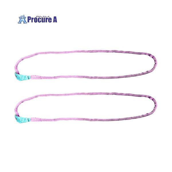 【送料都度見積】●最大使用荷重(t)：1●全長(m)：1.0●ベルト寸法(mm)幅×厚さ：16×16●表面布カラー：紫●両端形状：エンドレス型
