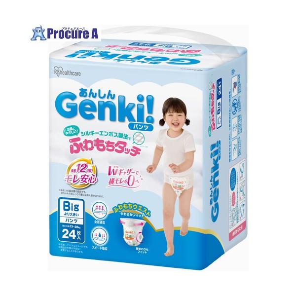 【送料都度見積】●サイズ：Big大●タイプ：パンツ●適用体重(kg)：約13〜28●おなかまわり(cm)：約45〜63●脚まわり(cm)：約24〜38●枚数：24枚