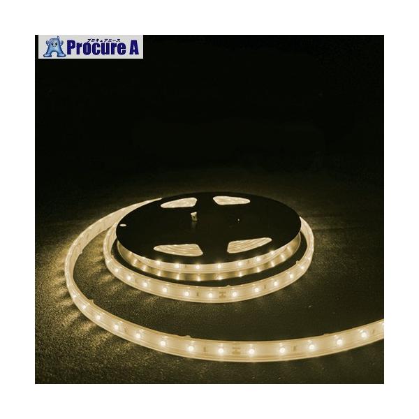 【送料都度見積】●明るさ(lm)：1140●光源色：電球色3000K●電源(V)：DC24●消費電力(W)：24●保護等級：IP65●長さ(m)：2