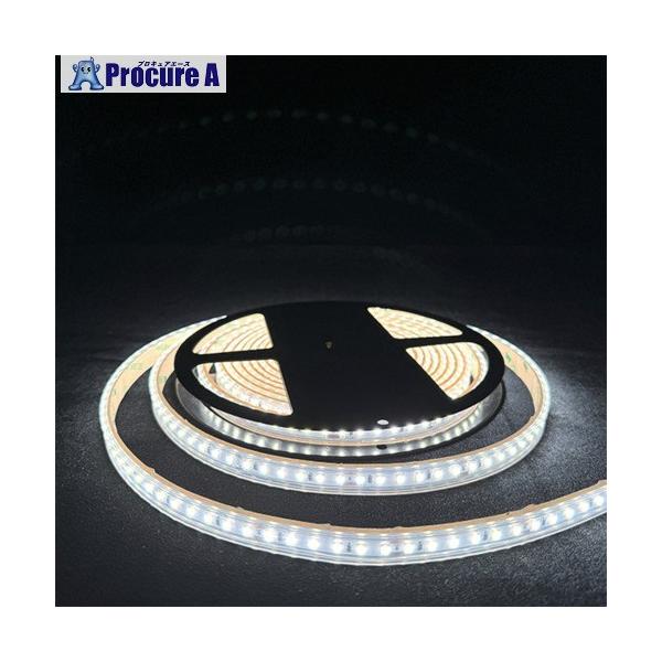 【送料都度見積】●明るさ(lm)：1240●光源色：昼光色6500K●電源(V)：DC24●消費電力(W)：24●保護等級：IP65●長さ(m)：2