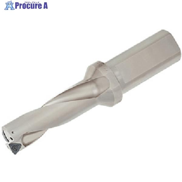 【代引決済不可】