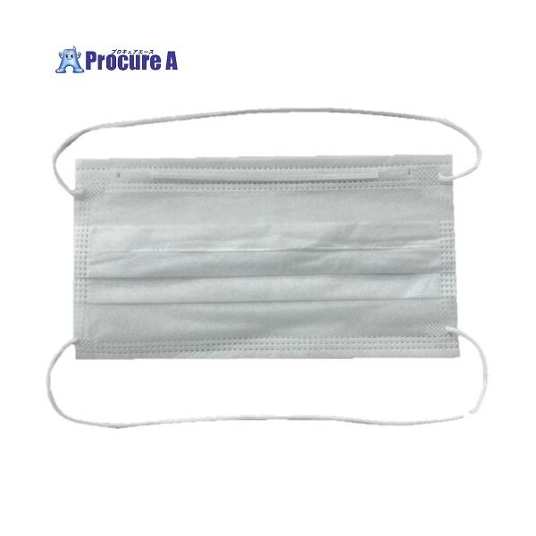 ●縦(mm)：95●横(mm)：175●色：ホワイト●構造：2層、プリーツ●サイズ：フリー●PFE(微粒子ろ過効率)：98％以上●BFE(細菌ろ過効率)：99％以上●VFE(ウィルス飛沫ろ過効率)：99％以上