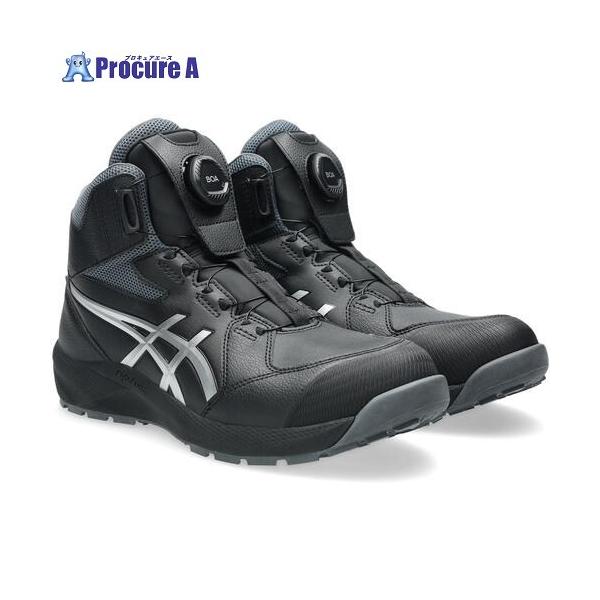 ●寸法(cm)：25.0●足幅サイズ：EEE相当●色：ブラック×ピュアシルバー●規格：JSAA規格 A種●耐圧迫荷重(kN)：10±0.1