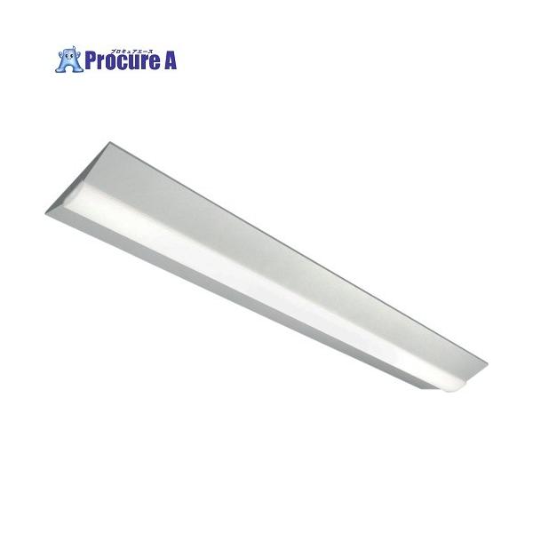 ●明るさ(lm)：3100●光源色：電球色●幅(mm)：230●長さ(mm)：1250●高さ(mm)：51●電源(V)：AC100-242V●消費電力(W)：20.1●定格寿命(時間)：40000