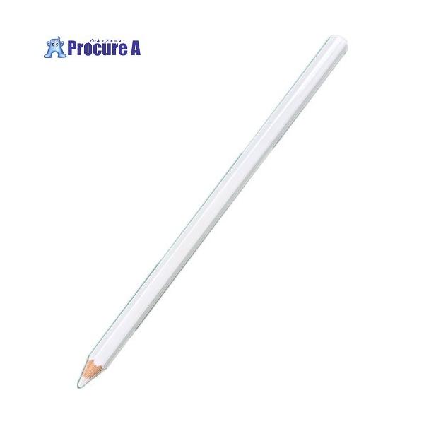 【送料都度見積】●色：ホワイト●芯径(mm)：2.9●全長(mm)：160