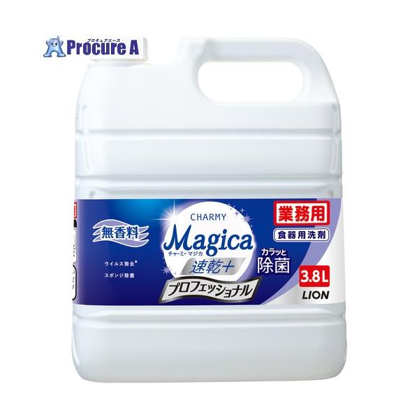 ●容量(L)：3.8●香り：無香料●希釈倍率(倍)：原液使用●標準使用濃度：原液使用