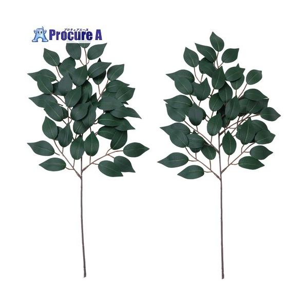 【送料都度見積】●品名：神棚用榊　2束入り　50cm●厚さ(mm)：20●幅(mm)：250●高さ(mm)：500