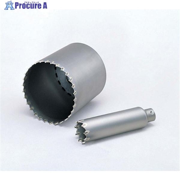 ●刃径(mm)：60●有効長(mm)：130●刃厚(mm)：2.5●全長(mm)：160●シャンク形状：ポリクリックシャンクL●被削材：ブロック、重量・化粧ブロック、押し出し成形セメント、陶管、塩ビ管。●適合機種：電気ドリル●シャンク：ポリ...