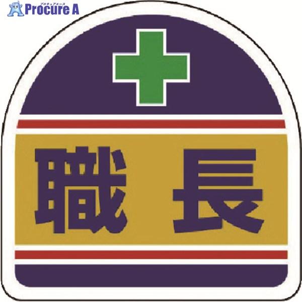 ●表示内容：職長●長さ(mm)：35●幅(mm)：35●内容：+職長●寸法(mm)：35×35●摘要：粘着シール・2枚1シート
