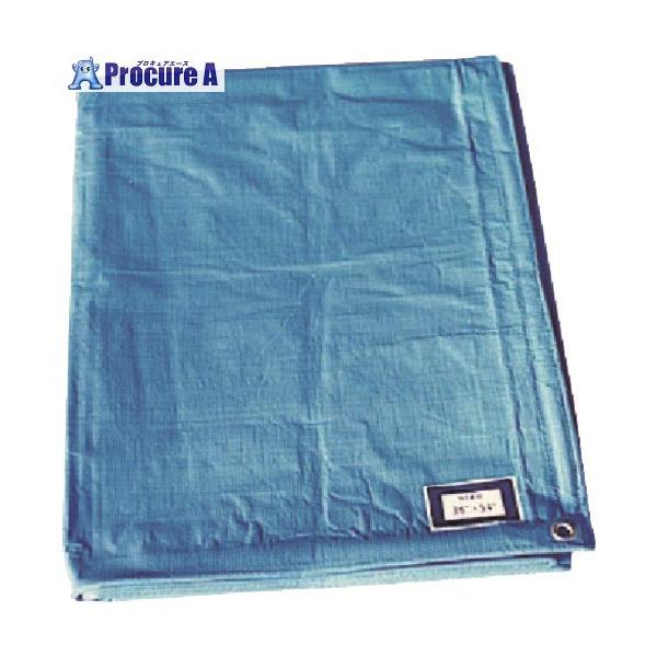 【送料都度見積】●幅(m)：3.6●長さ(m)：5.4●厚さ(mm)：0.08●ハトメ数(個)：20●ハトメ内径(mm)：12●取付穴：12mmハトメ穴20