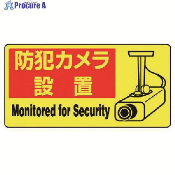 ●表示内容：防犯カメラ設置 Monitored for Security●縦(mm)：100●横(mm)：200●摘要：粘着シール