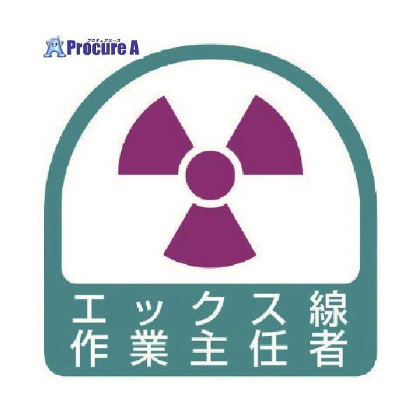 【送料都度見積】●表示内容：エックス線作業主任者●縦(mm)：35●横(mm)：35●摘要：粘着シール