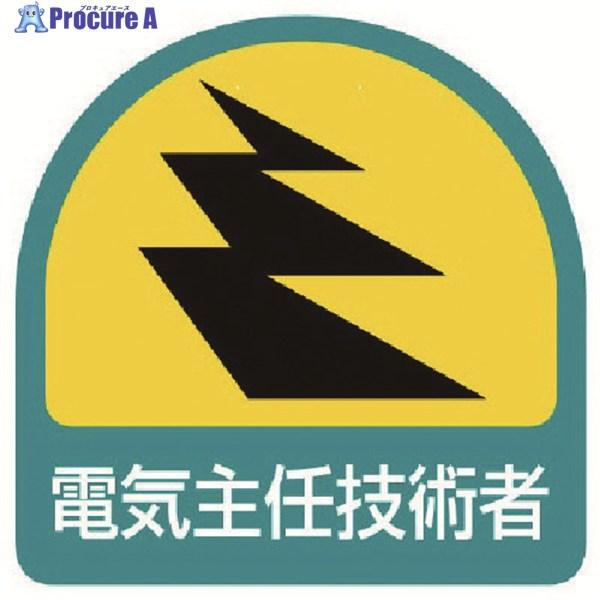 ●表示内容：電気主任技術者●縦(mm)：35●横(mm)：35●摘要：粘着シール