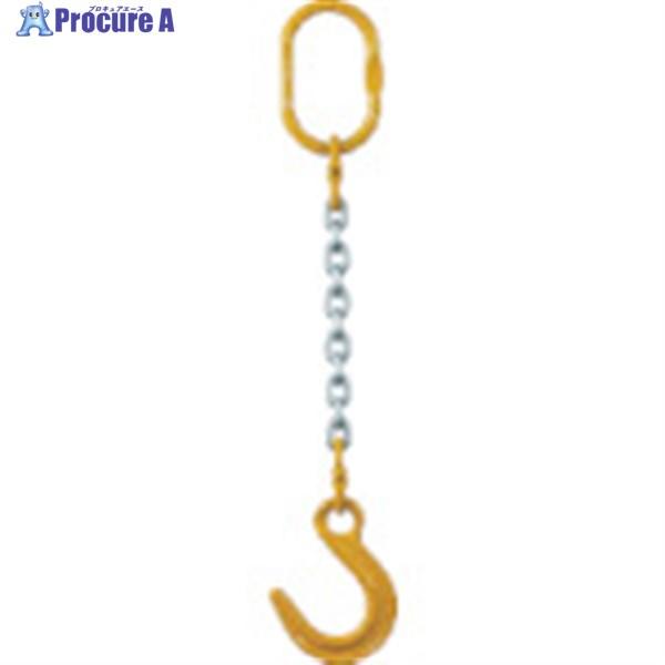●基本使用荷重(t)：1.6●チェーン線径(mm)：7.1●有効長l(m)：1.5●タイプ：アイタイプ●マスターリンク寸法(mm)a：70●マスターリンク寸法(mm)b：98●マスターリンク寸法(mm)d：14●マスターリンク寸法(mm)p...