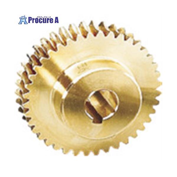 ●モジュール：1●歯数：50●穴径(mm)：φ10●歯形：並歯●形状：1B●歯幅(mm)：10●歯先円直径(mm)：φ53.5●全長(mm)：18●キー溝有無：無し●歯数比：1:50●かみ合いピッチ円直径(mm)：φ50●ハブ長さ(mm)：...