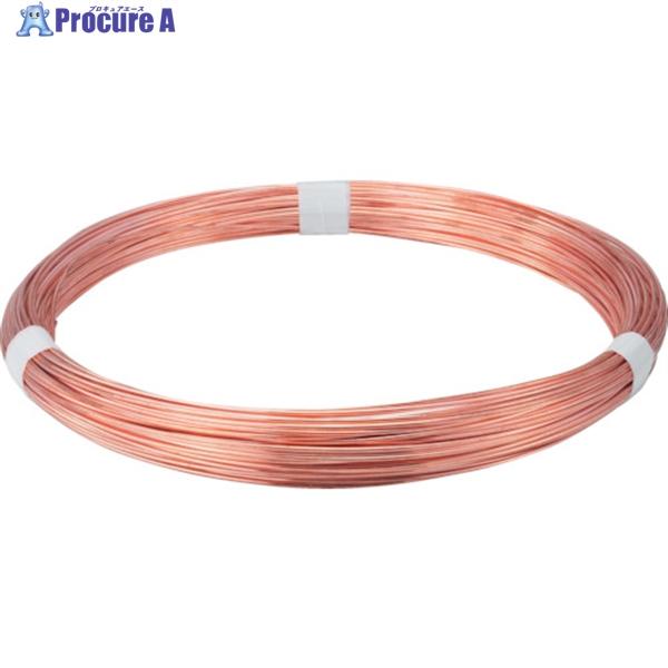 ●番手(#)：30●線径(mm)：0.3●長さ(m)：15●使用荷重(kgf)：0.2