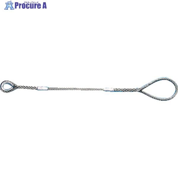 ●安全使用荷重2本垂直吊り(t)：1.35●全長(m)：3.5●スリング径(mm)：9●タイプ：B