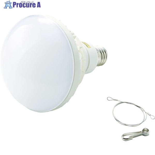 ●明るさ(lm)：6000●外径(mm)：φ160●消費電力(W)：50●口金：E39●電源(V)：110●標準消費電力料金：1.35円/h●球寿命(時間)：40000●長さ(mm)：235●全光束(lm)：6000●適合機種：RTL-50...