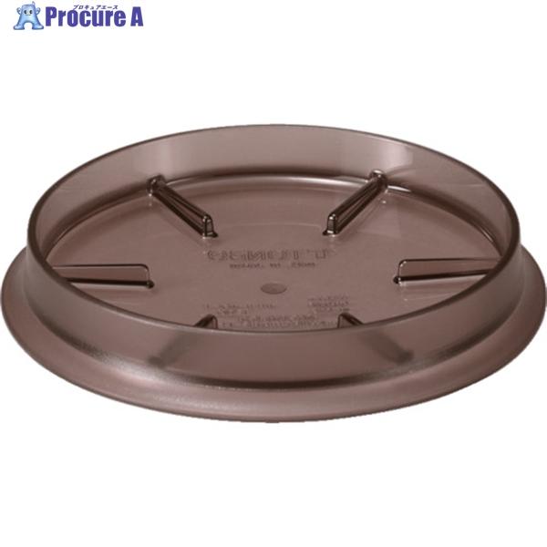 ●色：クリーム●厚さ(mm)：10●直径(mm)：325