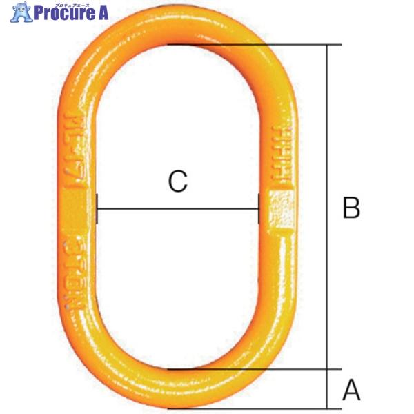 ●基本使用荷重(t)：2.0●適合チェーン線径(mm)：6.3●寸法(mm)A：14●寸法(mm)B：127●寸法(mm)C：63●破断荷重(kN)：10.0●内径縦×横(mm)：127×63