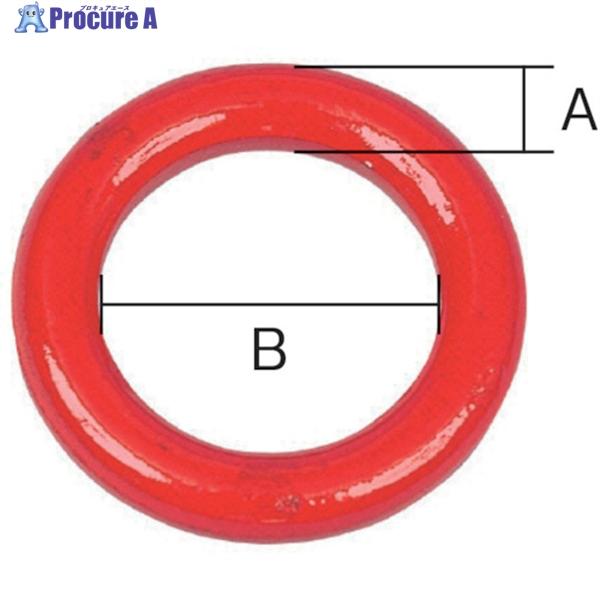 ●使用荷重(t)：0.75●内径(mm)：50●基本使用荷重(t)：0.75●線径(mm)：13