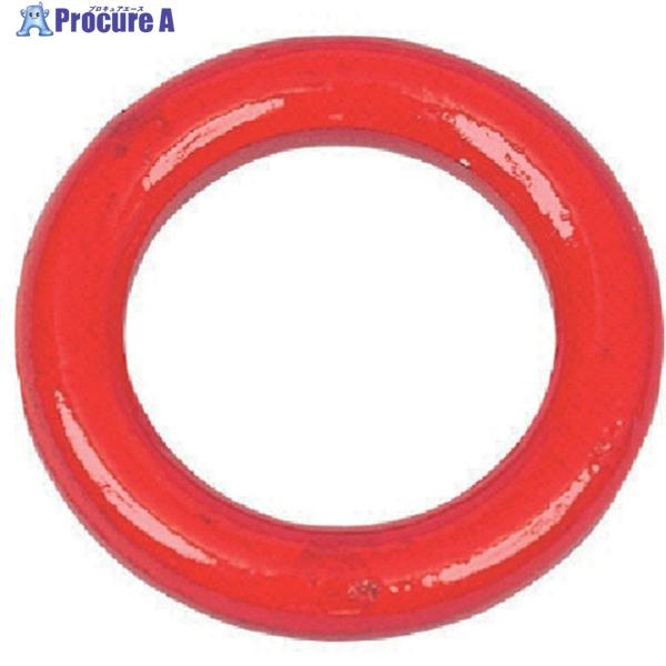 ●使用荷重(t)：5●基本使用荷重(t)：5●内径(mm)：100●線径(mm)：25