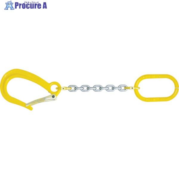 ●基本使用荷重(t)：0.75●チェーン線径(mm)：5.6●有効長l(m)：0.46●タイプ：ファンドリーフック●寸法(mm)A：11●寸法(mm)B：100●寸法(mm)C：50●使用荷重(t)：0.75