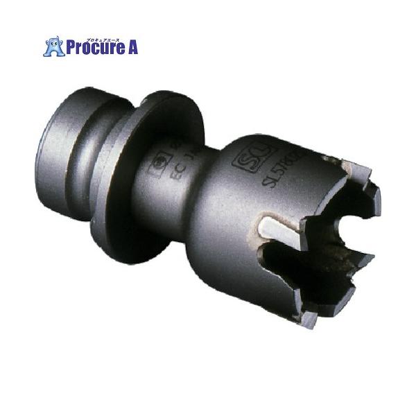 【送料都度見積】●刃径(mm)：19●有効長(mm)：4