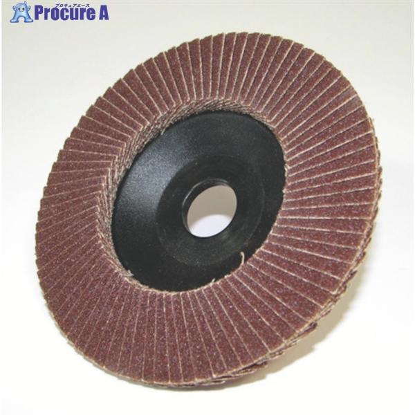 ●粒度(#)：40●外径(mm)：100●穴径(mm)：15●最高使用回転数(rpm)：12000