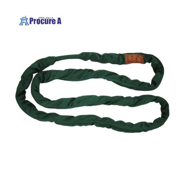 【送料都度見積】●最大使用荷重(t)：2●全長(m)：3.5●表面布カラー：緑●両端形状：エンドレス形●本体寸法(mm)幅×厚み：40×9