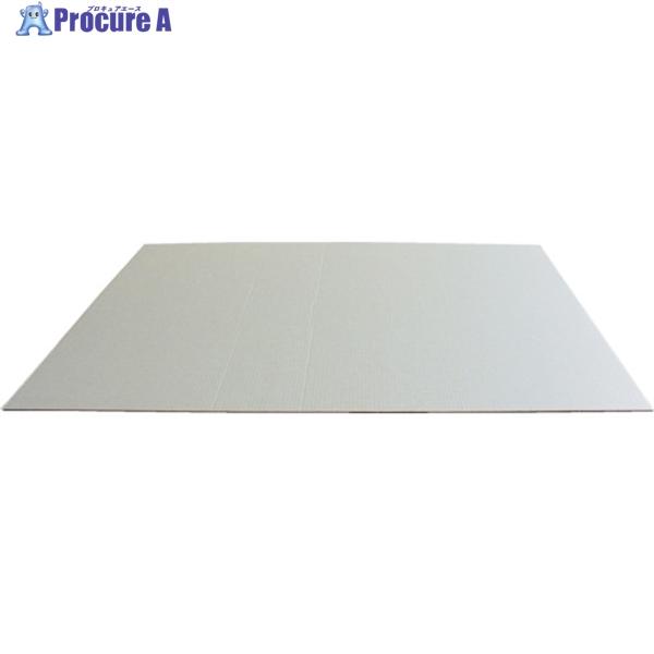 ●品名：スクエアパレット　専用パッド●適合本体：TTPS5S●最大動荷重(kg)：1000●最大静荷重(kg)：4000●間口(mm)：1385●奥行(mm)：1075●高さ(mm)：5●色：段ボール色