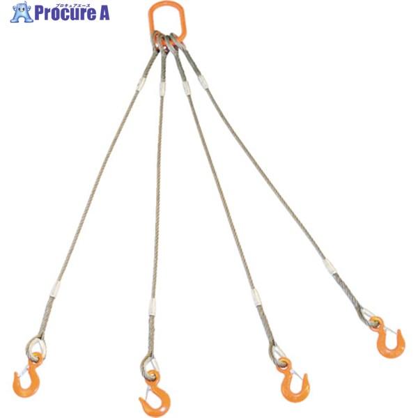 ●全長(m)：2.0●スリング径(mm)：9●タイプ：E●安全使用荷重4本吊り(t)：吊り角度60度以内　1.69