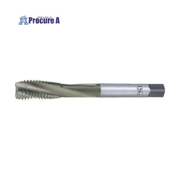 【送料都度見積】●呼び寸法：M16●ピッチ(mm)：2●表面処理：ノンコーティング