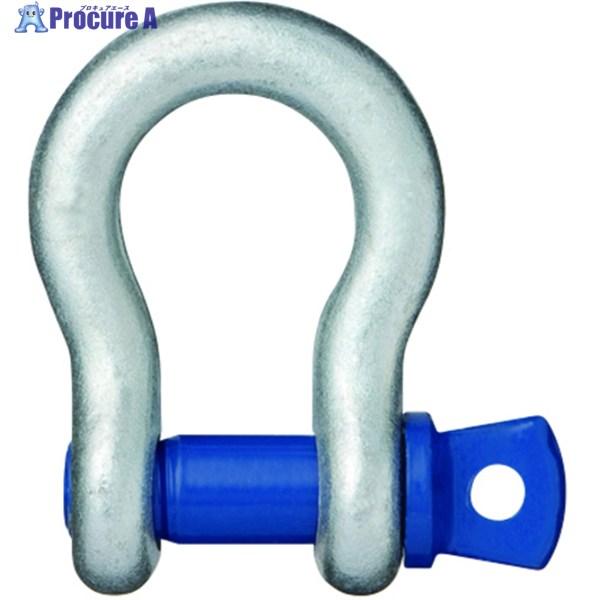 ●基本使用荷重(t)：0.5●使用荷重(kN)：4.9●口幅(mm)：12●寸法(mm)B：19●寸法(mm)t：8●寸法(mm)d3：8●寸法(mm)D：17●寸法(mm)L：28